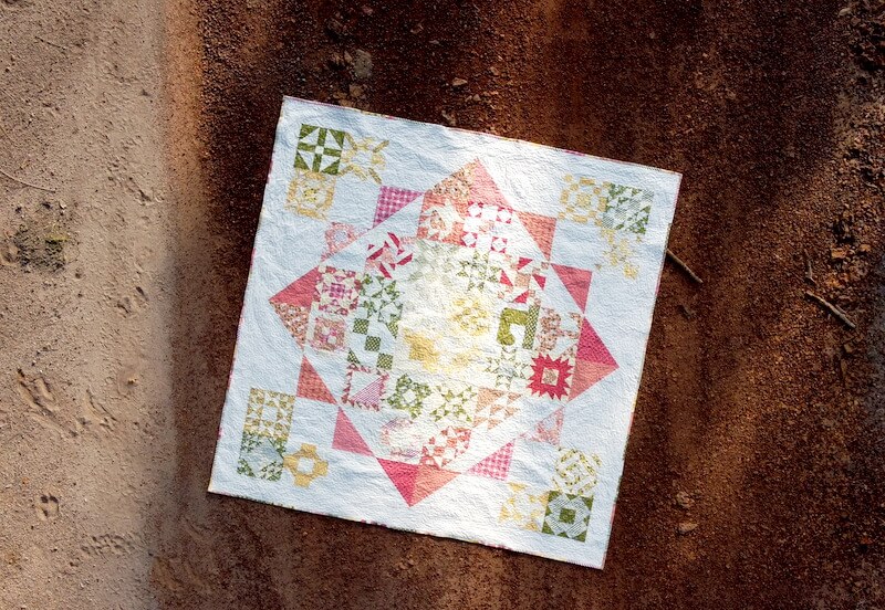 Sewcialites Quilt Finish - The Little Mushroom Cap: A Quilting Blog