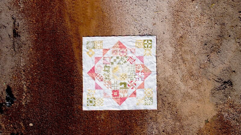 Sewcialites Quilt Finish - The Little Mushroom Cap: A Quilting Blog