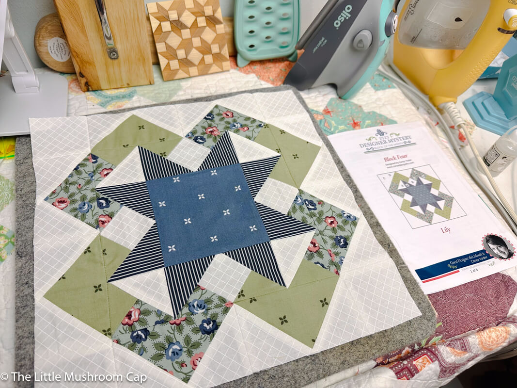 Designer Mystery Block of The Month - The Little Mushroom Cap: A ...